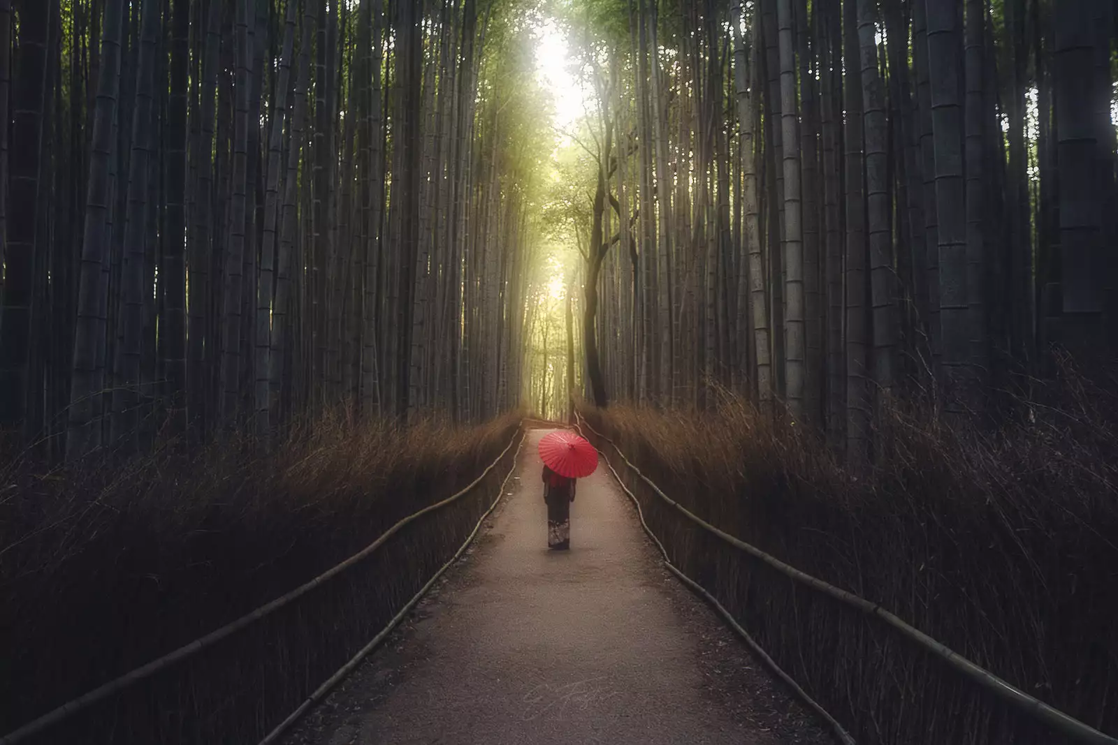 ⛩️ Japan Photo Tours - Capture the Beauty of Japan | Photo World Tours
